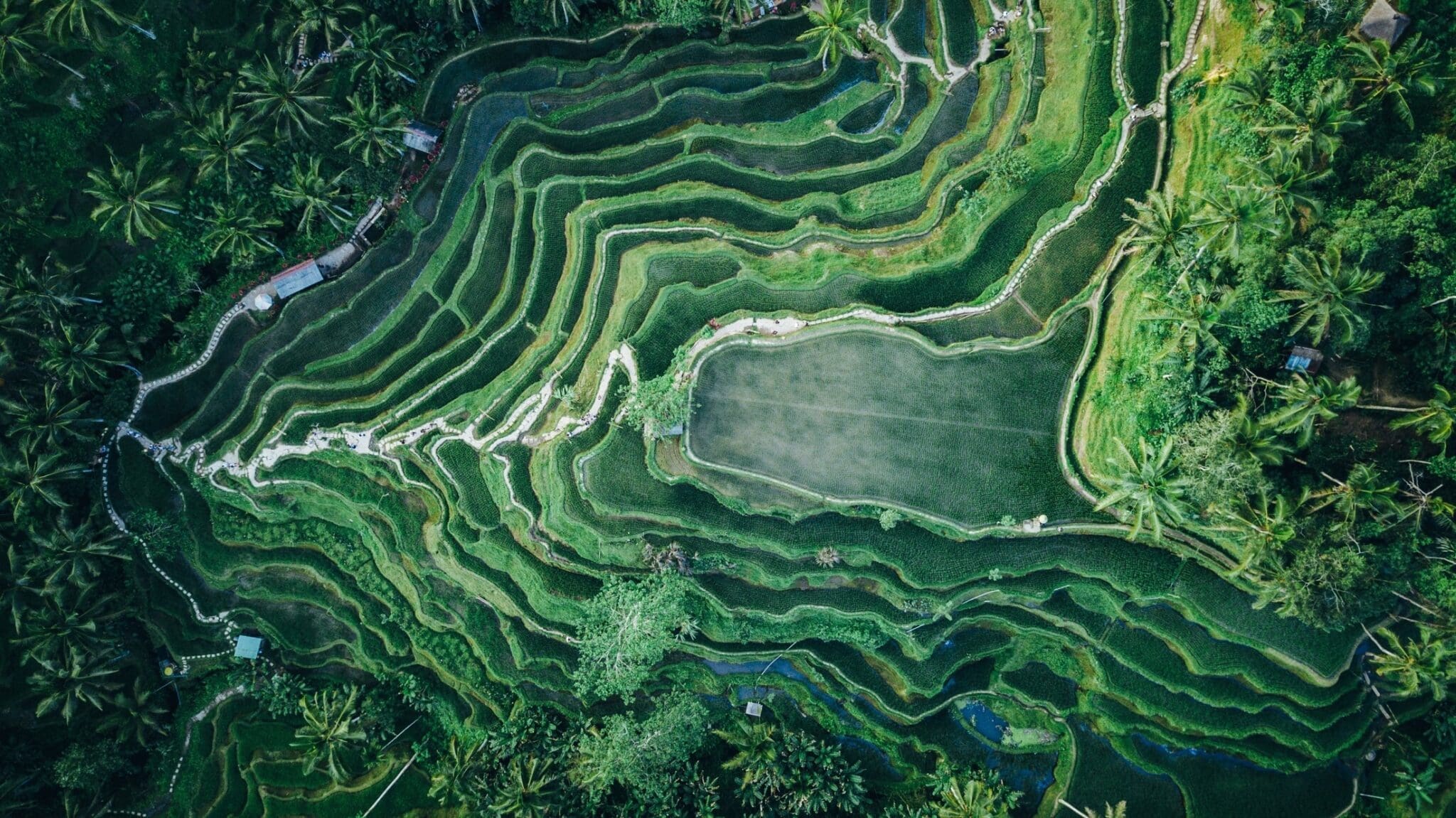 IPlytics | LexisNexis Intellectual Property Solutions